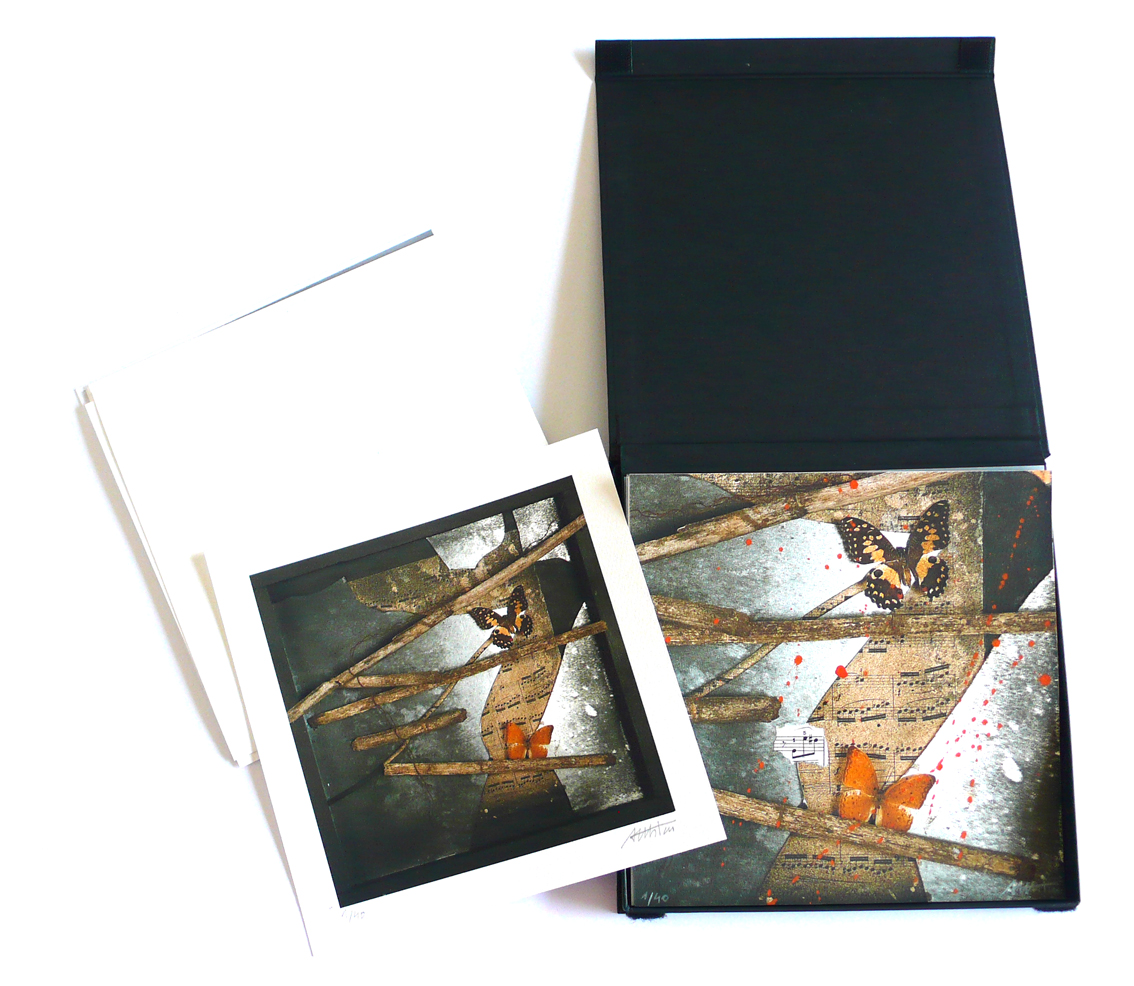 Catogo de obras por serie - Assumpció Mateu