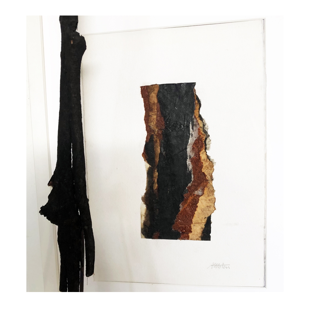 Catogo de obras por serie - Assumpció Mateu